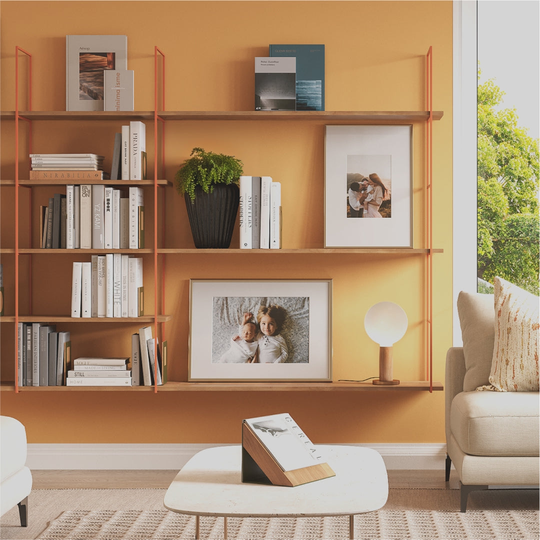 Living Room Shelves & Organization by Shelfology
