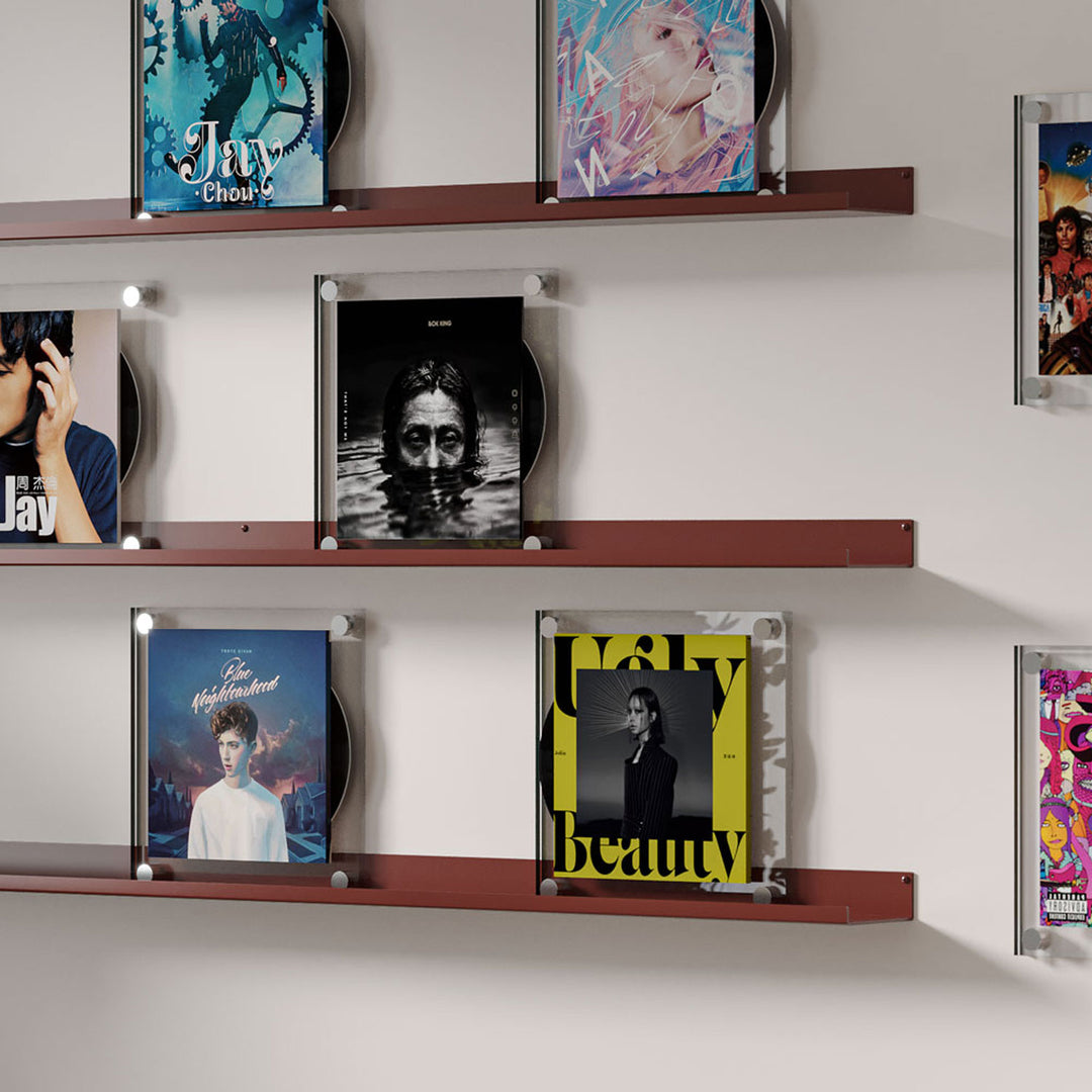 Living Room Shelves & Organization by Shelfology