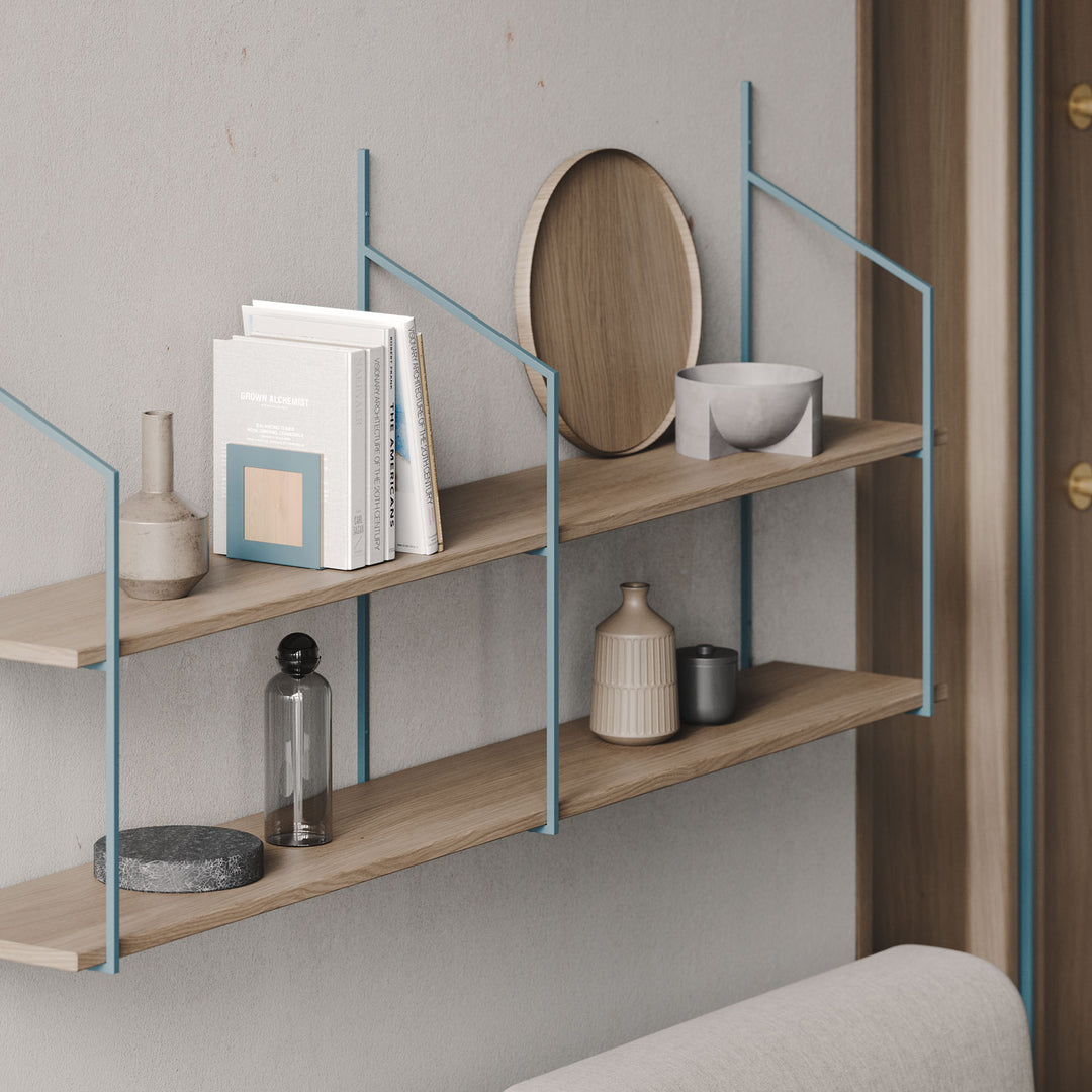 Living Room Shelves & Organization by Shelfology